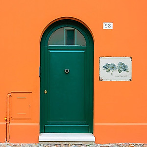 PPFINE My Greenhouse Forget Me Not Tin Sign Metal Plaque Art Hanging Iron Painting Retro Home Kitchen Garden Garage Wall Decor 12"x16"