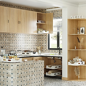 NETEL 2 Packs Pull Out Cabinet Organizer Fixed With Adhesive Nano Film，Heavy Duty Slide Out Pantry Drawers for Kitchen Cabinets, Living Room, Bathroom,15.15" (L) x 10.82"(W) x 3.54"(H), White