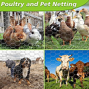 Chicken Wire, 16.9 In × 32.8 Ft Chicken Wire Fencing, Chicken Coop Accessories, 0.6 Inch Hexagonal Galvanized Wire Mesh for Rabbit Garden, Protecting Chicken Feeder Waterer, with Pliers & Glove