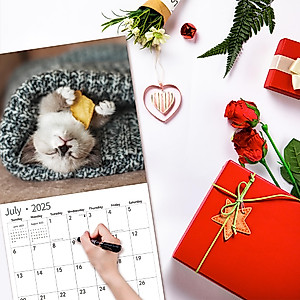 2025 Wall Calendar,Calendar 2025, January 2025 - December 2025, Wall Calendar Baby Kitten, 12" x 24" Opened,Full Page Months Thick & Sturdy Paper for Calendar Organizing & Planning