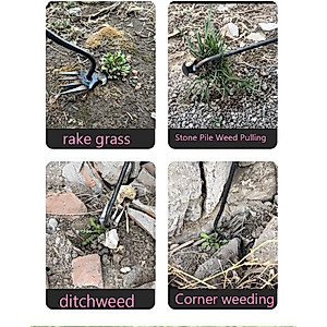 olybell Stainless Weeding Artifact Uprooting Weeding Tool, Stainless Steel Forged Weed Puller 4 Teeth Dual Purpose Weeder, Hand Weeder Tool for Gardening with Long Handle (Black)