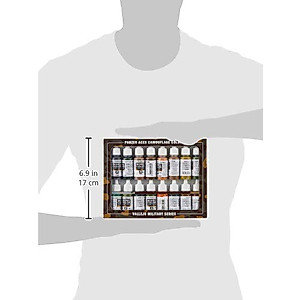 Vallejo Panzer Aces Paint Set