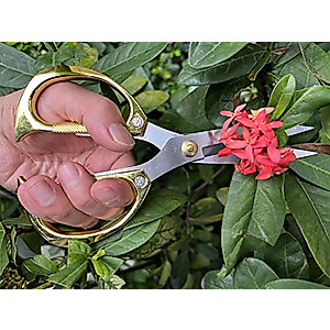 Horsvill Indoor Plant Shears and Garden Scissors, Houseplant Shears Made of Japan SK5 Stainless Steel, Flowers Herbs and Plant Cutters, Clippers, Trimmers, Loppers, Bonsai Plant Pruning Scissors