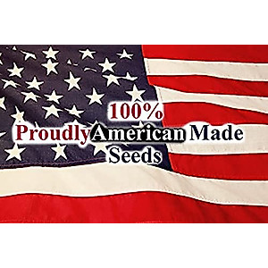 Set of 25 Premium Vegetable & Herb Seeds - 25 Deluxe Variety Premium Vegetable & Herb Garden 100% Non-GMO Heirloom