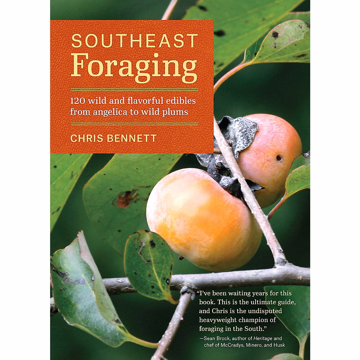 Southeast Foraging: 120 Wild and Flavorful Edibles from Angelica to Wild Plums (Regional Foraging Series)