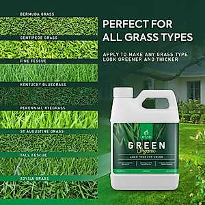 Green Organic Fertilizer - Grass Fertilizer for Greener Color & Sustained Growth, Lawn Food That Conditions & Nourishes Soil, No Harsh Chemicals Turf Care, 32 oz. Lawn Food for 5,000 sq. ft.