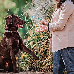 INABA Churu Lickable Hand Fed Wet Dog Treat Chicken Variety Pack 40 Tubes