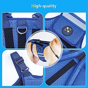 Coodeo Dog Back Brace for Dogs Arthritis, Pet Back Bracer for IVDD, Back Protector Helps Pain Relief, Surgical Recovery and Rehabilitation, Dogs Back Disease Prevention. (Medium)