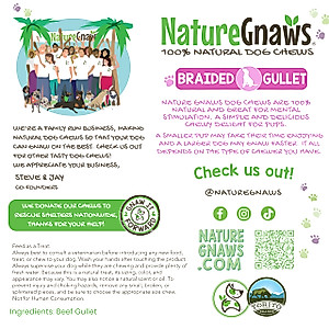 Nature Gnaws Braided Beef Jerky Chews for Dogs 5-6" (10 Count) - Long Lasting for Small and Medium Dogs - Natural Beef Gullet Dog Chew Bones