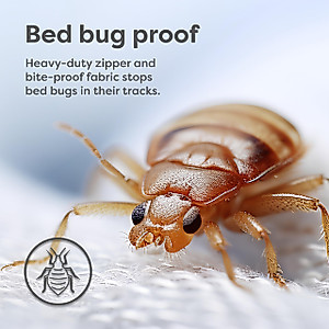 HOSPITOLOGY PRODUCTS Pillow Encasement- Zippered Bed Bug Dust Mite Proof Hypoallergenic - Sleep Defense System - Standard - Waterproof - Set of 2-20" H x 26" W