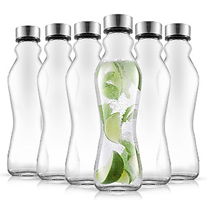 JoyJolt Spring Glass Water Bottles Set of 6-18 oz Glass Bottles with Stainless Steel Caps - Glass Drinking Bottles with Leakproof Lids - Reusable Glass Juice Bottle - Container Bottle Set