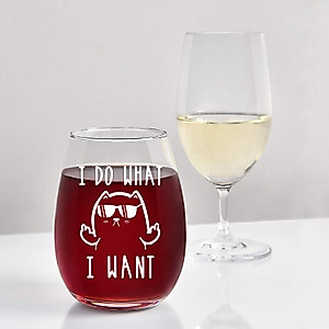 I Do What I Want Funny Wine Glass, Cat Stemless Wine Glass - Cat Lover Gifts for Women, Men, Cat Dad, Cat Mom, Cat Lover, Friends - Gift Idea for Christmas, Birthday