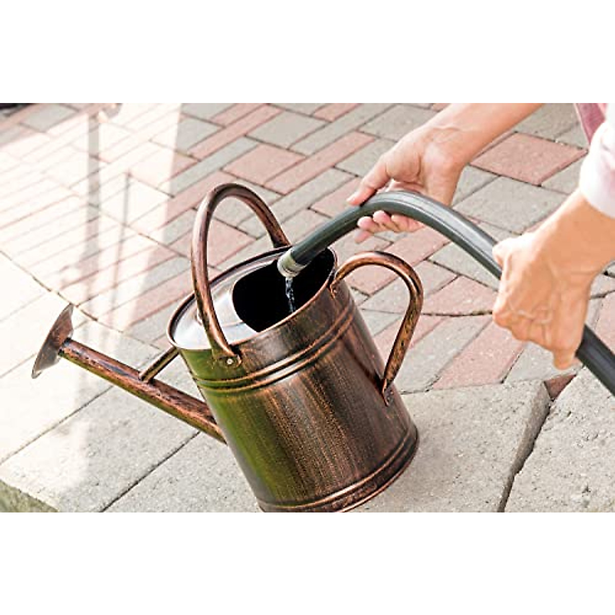 1.5kg 24-8-16 Water Soluble All Purpose Plant Fertilizer