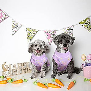 ASENKU Easter's Day Dog Onesie Pet Pajamas, Dogs Recovery Suit for Dogs Cats After Surgery, Dog Pajamas Outfit Bodysuit for Small Medium Large Dog Cat Costume (Easter's Day, XL)