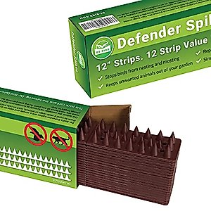 De-Bird: Defender Spikes, Cat and Bird Deterrent - Outdoor Pest Defender to Keep Off Pigeon, Squirrel, Woodpecker & More, Plastic Deterrent Anti Theft Climb Strips - 12pk [12 Foot]
