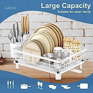 GAXmi Dish Drying Rack Over The Sink Dish Drainer with Drainboard Utensil Holder Adjustable Spout, 1-Tier White