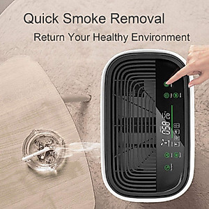 BATEERUN True HEPA Filter Air Purifiers, Quiet Air Cleaner. True HEPA Air Purifiers Filter for Bedroom, Large Room 2 PACK