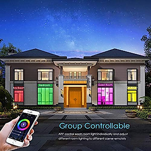 TALOYA Smart Ceiling Light Flush Mount LED WiFi, Compatible with Alexa Google Home, Dimmable Low Profile Ambient Light Fixture for Bedroom Living Room,12 Inch 24W