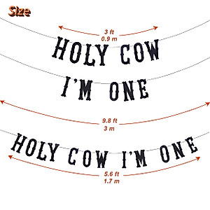 Holy Cow I'm One Banner Farm Themed 1st Birthday Party Decoration for Western Cowboy and Cowgirl First Rodeo Birthday Decorations
