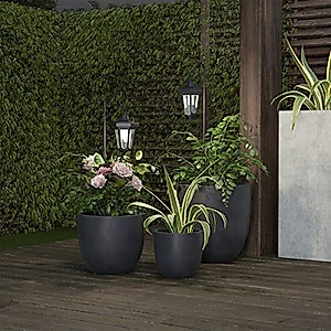 Pure Garden 50-123 Solar Powered Set of 2, 32” Hanging Coach Lanterns with 2 Shepherd Hooks-LED Outdoor Lighting for Gardens, Pathways, and Patio, Black