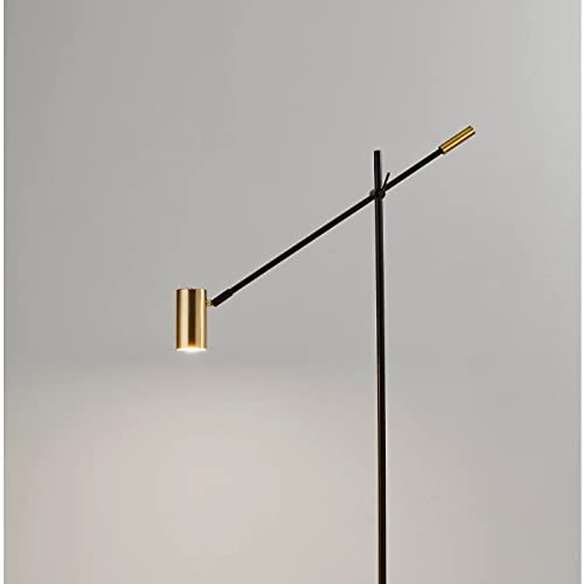 Adesso Home 4218-01 Transitional LED Floor Lamp from Collette Collection Finish, 22.50 inches, Black/Antique Brass