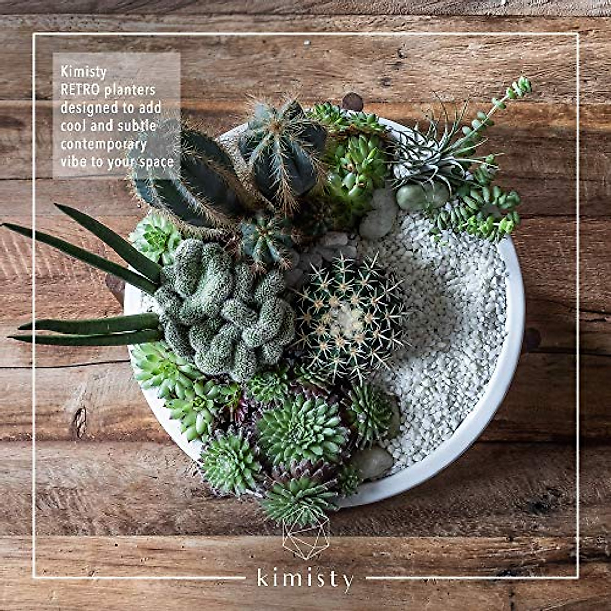 kimisty 10 Inch Succulent Planter, Large Round Bowl with Drainage, Mid Century White Ceramic Pot with Wood Stand, Succulent Garden Shallow Pot, Tabletop Centrepiece, Includes Gift Pack