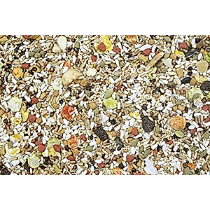 Higgins 2 Pack of Safflower Gold Natural Blend Conure and Cockatiel Food, 3 Pounds Each