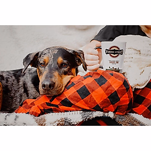 Verena Street 11 Ounce Ground, Swiss Water Process Decaf Coffee, Sunday Drive Decaffeinated, Medium Roast Rainforest Alliance Certified Arabica Coffee