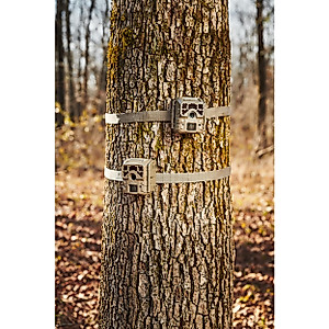 Moultrie Micro-32i Trail Camera Kit - Double Pack