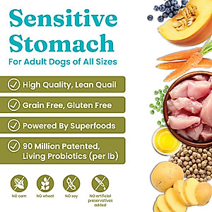 Solid Gold Sensitive Stomach Dog Food for Adult & Senior Dogs - Made with Real Quail, Chickpea & Pumpkin - Wild Heart Grain Free Dry Dog Food for Digestive Health and Immune Support