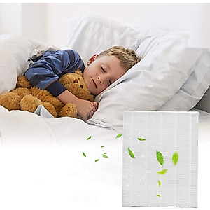 KEYJINIU - DX95 Filter Compatible with AeraMax 290 AeraMax 300 DX95 Contains (1 Filters + 4 Carbon Filters)