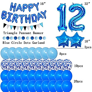 Succris 12ND Blue Theme for 12 Years Old Birthday Party Supplies Blue Happy Birthday Banner Blue Circle Dots Garland Paper Hanging Triangle Flag Banner Confetti balloons Number 12 Blue