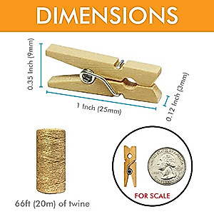 Mini Natural Wooden Clothespins with Jute Twine, 250pcs, 1 Inch Photo Paper Peg Pin Craft Clips with 66ft Natural Twine for Scrapbooking, Arts & Crafts, Hanging Photos (Natural Color)