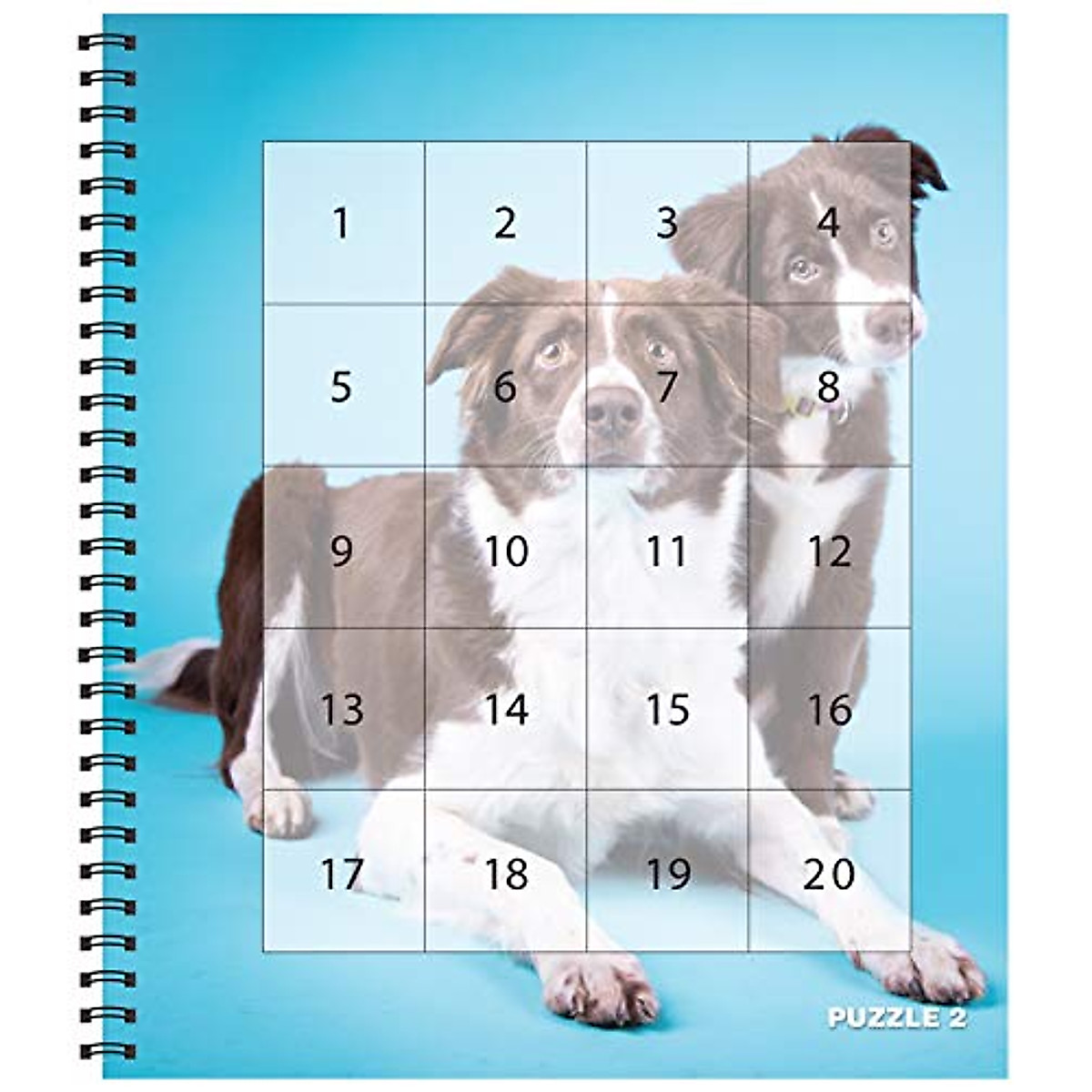 Brain Games - Sticker by Number: Dogs & Puppies (Easy - Square Stickers): Create Beautiful Art With Easy to Use Sticker Fun!