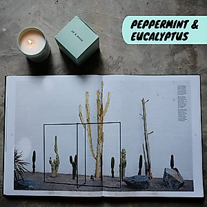 Peppermint & Eucalyptus, Premium Scented Candles, Non Toxic, 46h Burn, 8.1oz Soy Wax, Aromatherapy, Strong and Long Lasting Jar Candle for Home, Gifts for Women and Men, Spring Candle, Velas Aromatica