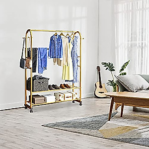 DSIOHFEI Metal Garment Rack Clothing Hanging Rack Free Standing Clothing Hanger with Top Rod,Lower Storage Shelves for Home Bedroom Laundry (Golden)