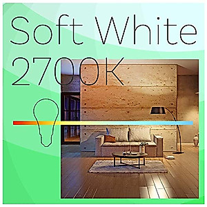 Asencia AN-03679 40 Watt Equivalent G25 Globe Frosted All Glass Vintage Filament Dimmable LED Light Bulb, Soft White, 6-Pack, 6 Pack