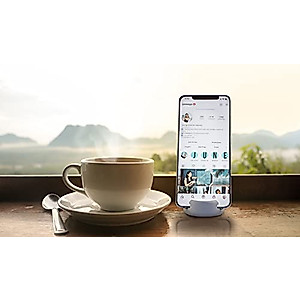 GoDonut – Phone Stand Mini – Portable Keychain Cell Phone Holder – Desk Accessory – Perfect for Travel, Office, Nightstand – Compatible with iPad Mini, iPhone & Most Smartphones – Teal