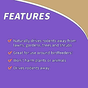 Bonide Chipmunk, Squirrel & Rodent Repellent, 32 oz Ready-to-Spray for Outdoor Use, Deter from Lawn & Garden