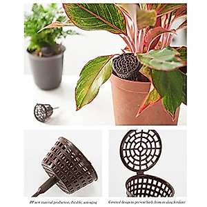 kingsea 100 Pcs Bonsai Fertilizer Box with Cover,Mini Automatic Plant Fertilizers Baskets,Plastic Planting Nutrition Cups Slow Release Fertilization Control Container (Small,20Pcs)