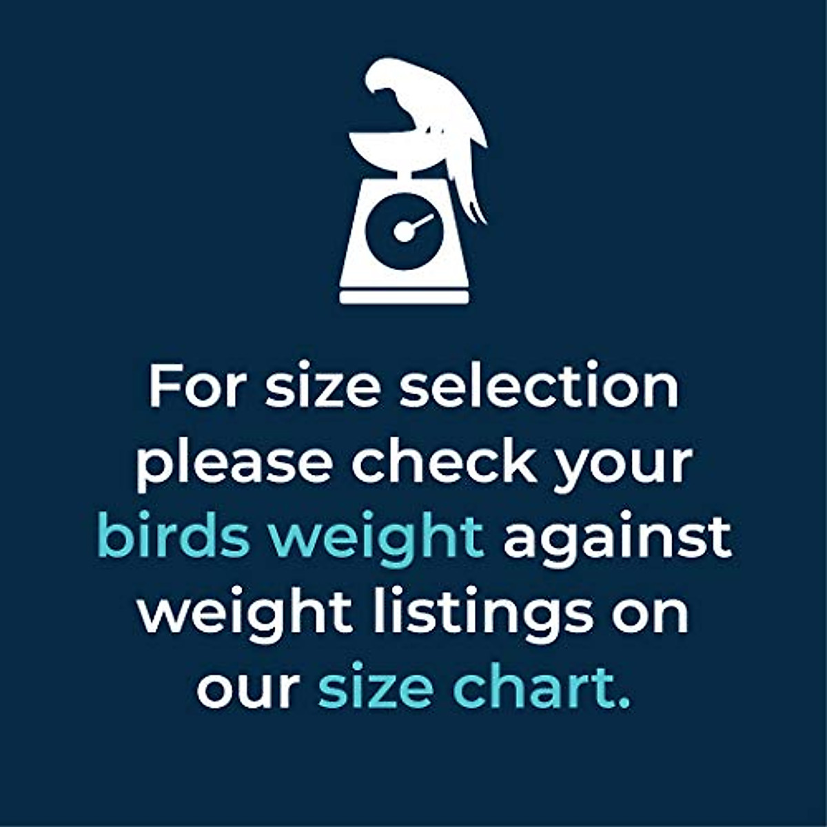 Bev's Bird Boutique - Patriot Larger Sizes - Open Back Style (8.5)