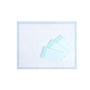 HONEY CARE All-Absorb, X-Large 28" x 34", 40 Count, Dog and Puppy Training Pads, Ultra Absorbent and Odor Eliminating, Leak-Proof 5-Layer Potty Training Pads with Quick-Dry Surface, Blue