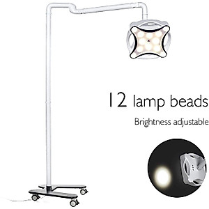 EustomA 30W LED Shadowless Light Mobile Type Portable Auxiliary Floor Lamp LED Cold Lamp with 12PCS High Power Light Sources