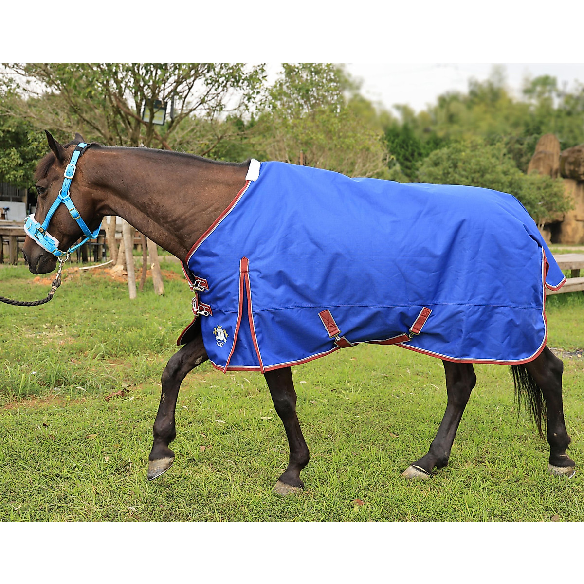 T TEKE Deluxe Turnout Horse Sheets, 1200D Waterproof and Breathable Horse Care Sheets with no Filling (51"-87" Including Miniature/foal Size)