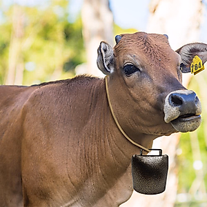 Super Large Metal Cowbell 8.5x9cm/3.35x3.54in, Grazing Bell for Cattle and Horse, Farm Animal Bell, Solid and Loud Noisemaker Cheering Bell for Sporting Events and Games (Bronze)