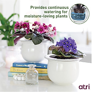 African Violet Pots Ceramic 6.5”W x 4.6”H Self Watering Planter for Indoor Flowers and Plants – White Glazed Outer Plant Pot with Highly Absorbent Inner Planter Pot for Tropical Plants