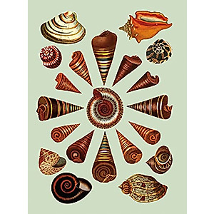 The Antiquarian Sticker Book: Over 1,000 Exquisite Victorian Stickers (The Antiquarian Sticker Book Series)