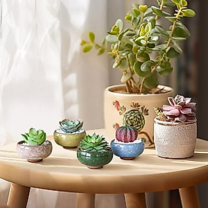 T4U 2.5 Inch Small Ceramic Succulent Planter Pot with Drainage Hole Set of 12, Ice Crack Glaze Porcelain Handicraft Plant Container Gift for Mom Sister Aunt Best for Home Office Desk Decoration
