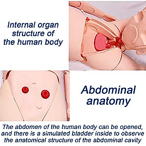 LVMMO 170cm Life Size Patient Care Manikin Training CPR Simulator Basic Geri Nursing Skills Geriatric Human Model Mannequin Full Body for Students Education Teaching Medical Training Skills