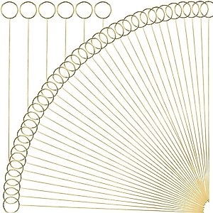 H&W 12''L Golden Ring Loop Round Shape Card Holders 40PCS Floral Picks Clips for Wedding & Flower Arrangements, DIY Craft Wire Clip Table Card Holders Note Photo Picture Memo Holder Cake Topper (Ring)